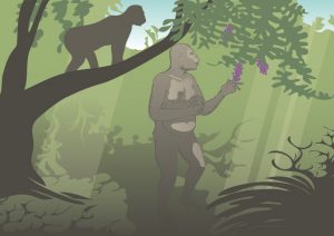 Ardi, an ancient ancestor - Robert Toth, Art, Design & Web